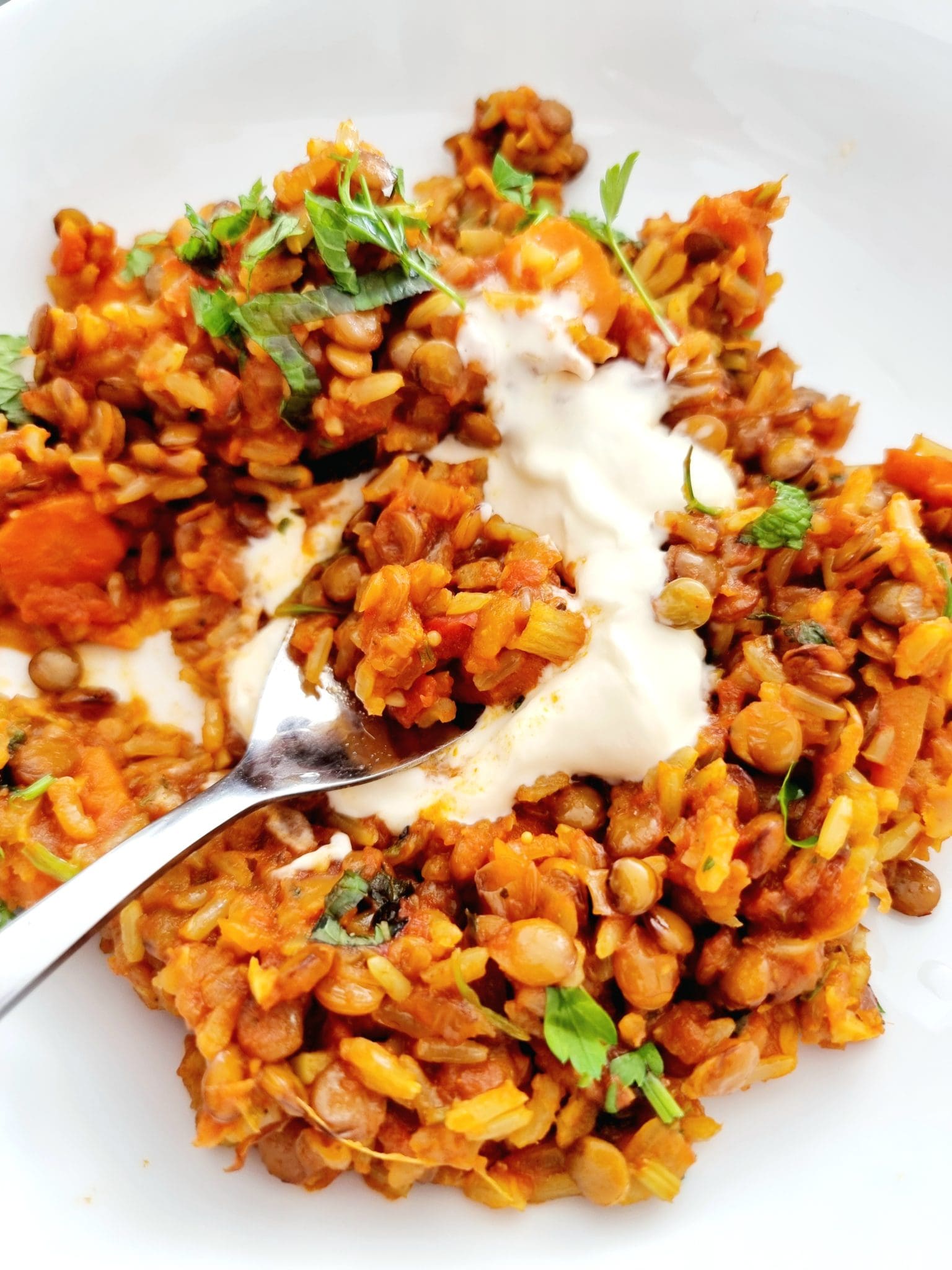 Soffritto Lentils and Tomato