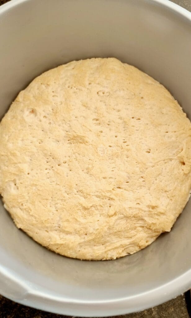 Crusty Bread Rolls by My Anosmic Kitchen