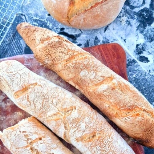 Crusty Bread Rolls by My Anosmic Kitchen